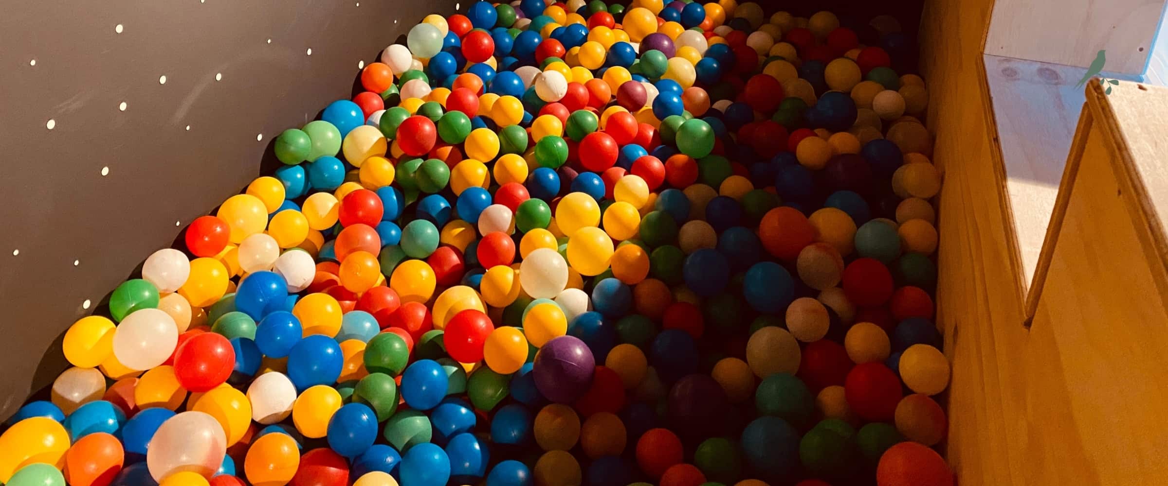 Boterbloem - de Kleine Wildenberg